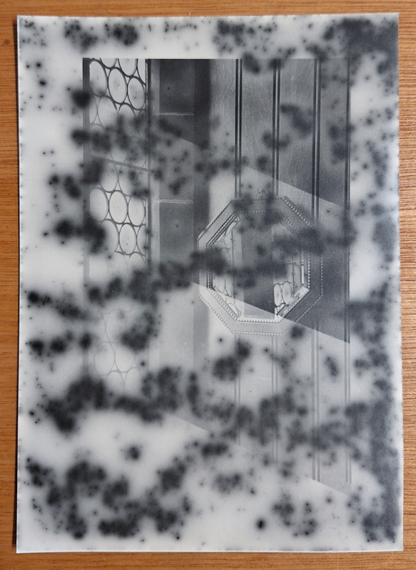 Agfa Gevaert Rapidoprint - FOURTOES